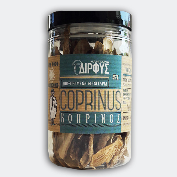 ΑΡΧΙΚΗ